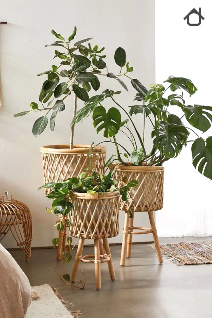 The Case For Bamboo Decor: This Ultra Sustainable Material Belongs In ...
